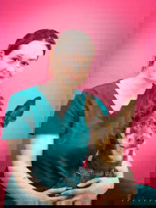 Drake Vets Practice in Yelverton & Tavistock | Trusted Vet Care